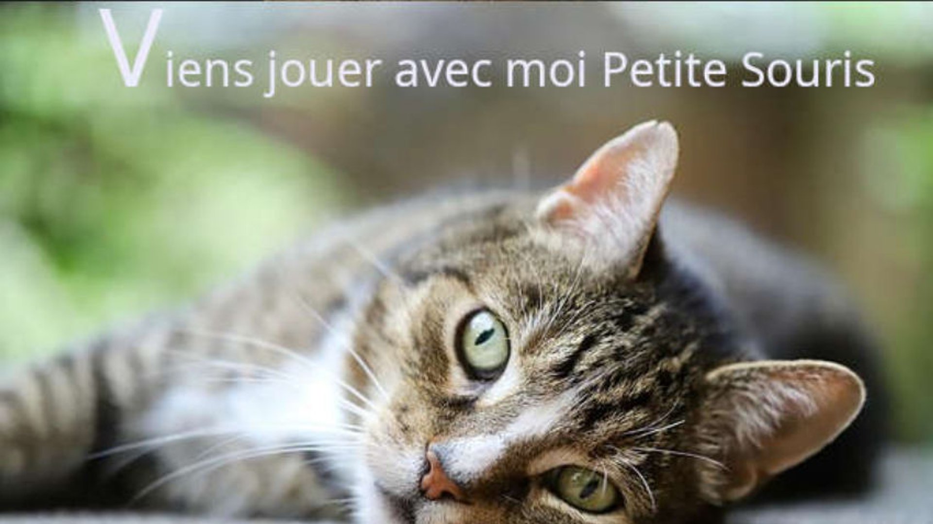 L’imparfait, un temps régulier - Cycle-2 Éducatif